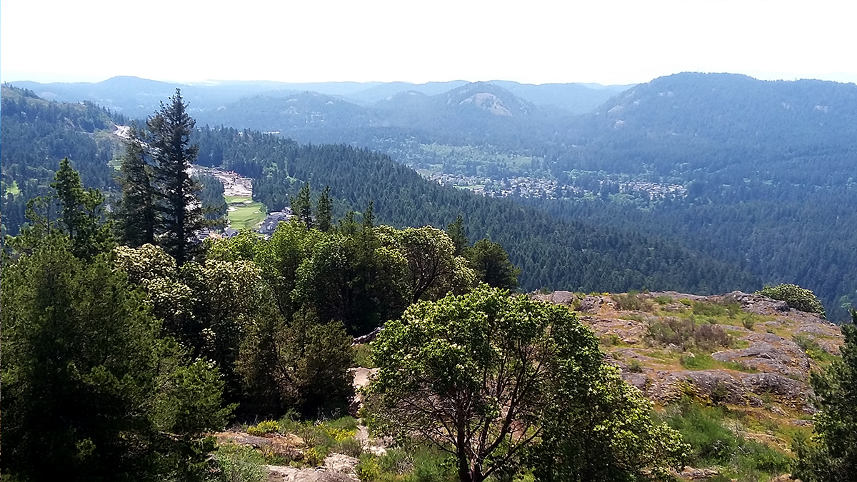Mt. Finlayson, Victoria – Pick up those dogs!